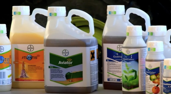 8 Termite Extermination Methods That Will Eradicate The Pest