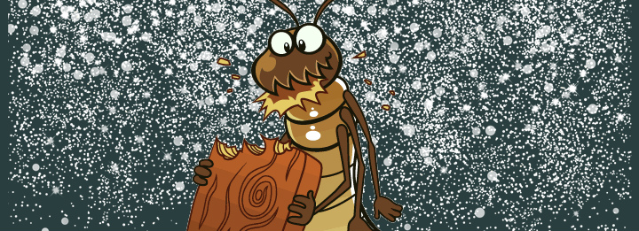 Termites In Winter? Here Are The Chilling Facts To Remember